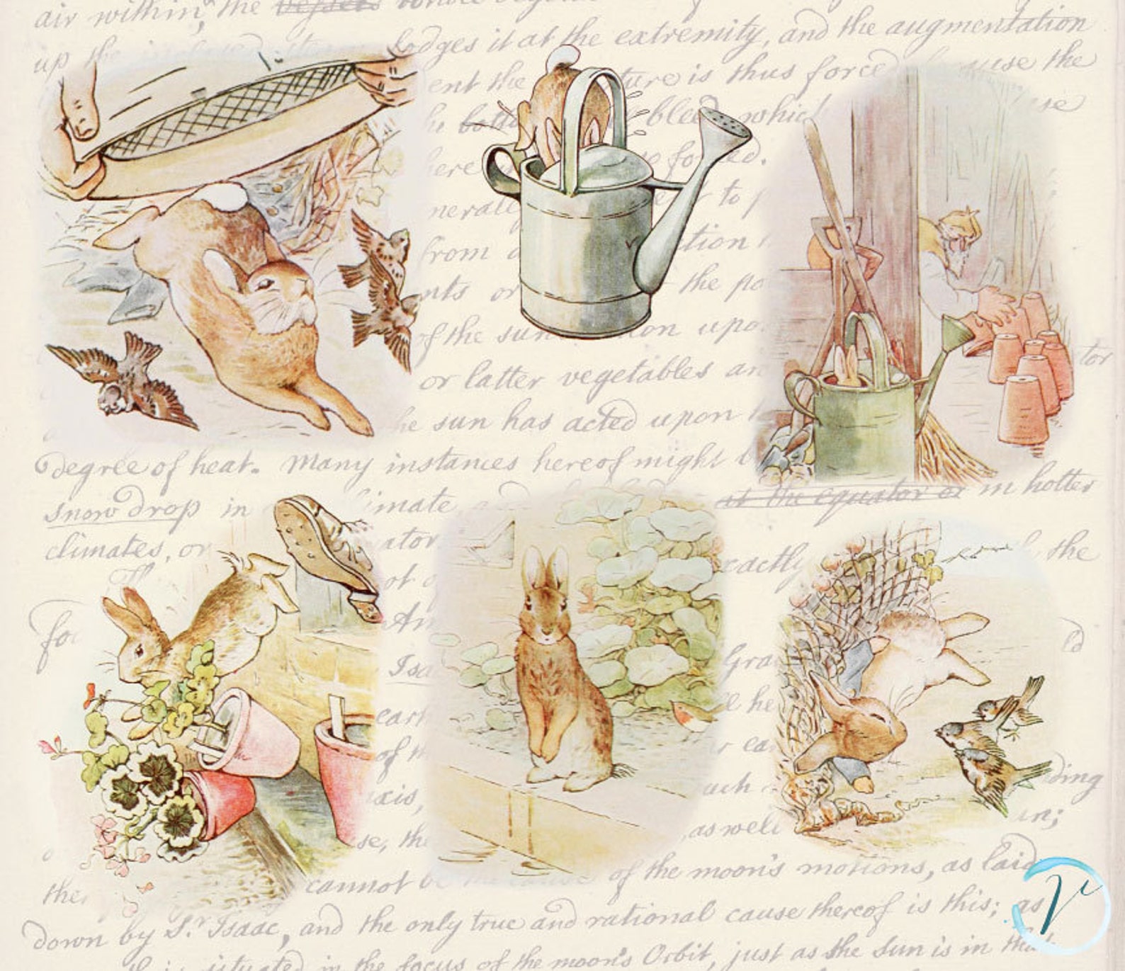 Vintage Clipart Beatrix Potter Peter Rabbit High Resolution Digital ...