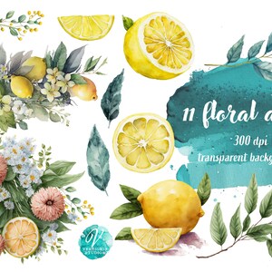 Digital Watercolor Lemonade Clipart Elements, Instant Download ...