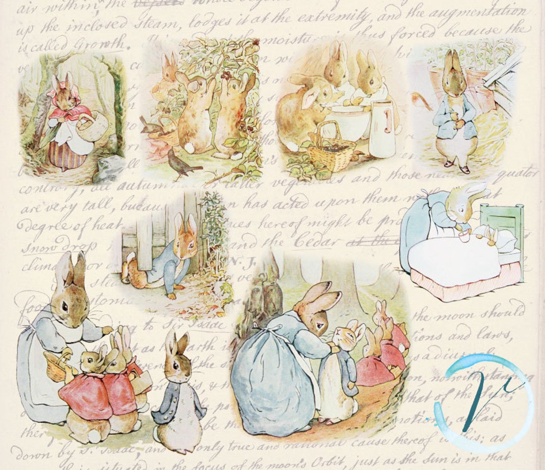 Vintage Clipart Beatrix Potter Peter Rabbit High Resolution Digital ...
