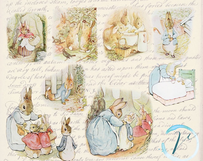 Vintage Clipart Beatrix Potter Peter Rabbit High Resolution Digital ...
