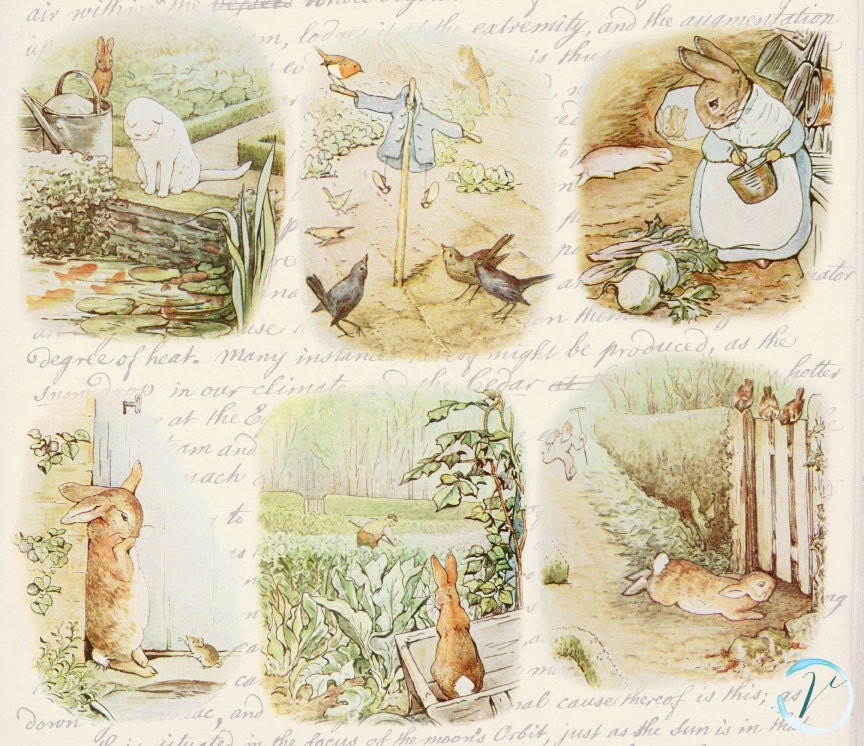 Vintage Clipart Beatrix Potter Peter Rabbit High Resolution Digital ...