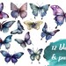 Whimsical Watercolor Butterfly Clipart Set - Digital Download for ...