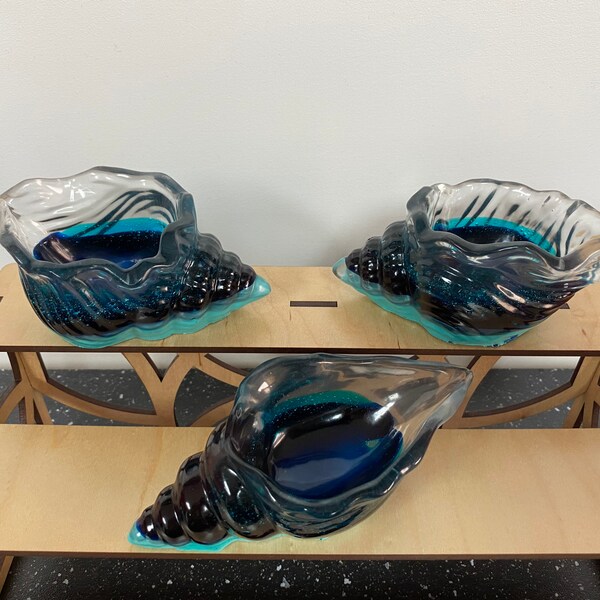 Blue Conch Shell - Etsy