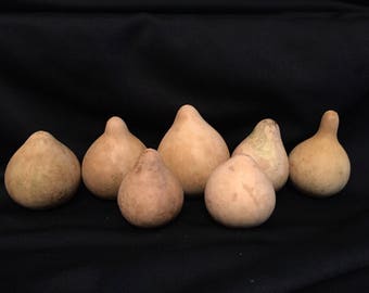Gourds | Etsy