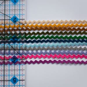 MINI Fall Colors, MINI Ric Rac, 1/8ths Inch, 11 Color Bundle, 2 Yds. of ...