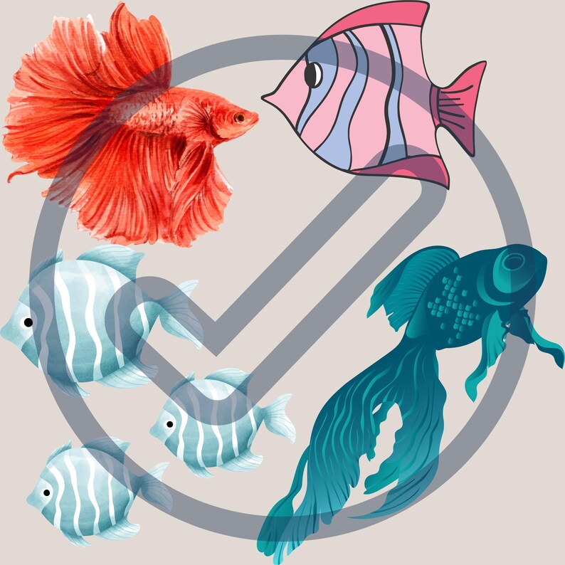 44 PNG Fish Clipart Bundle - High-resolution Sea Life Graphics for ...