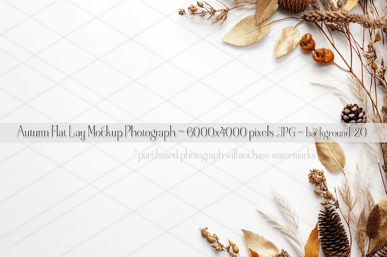 Fall zoom backgrounds - lopersps