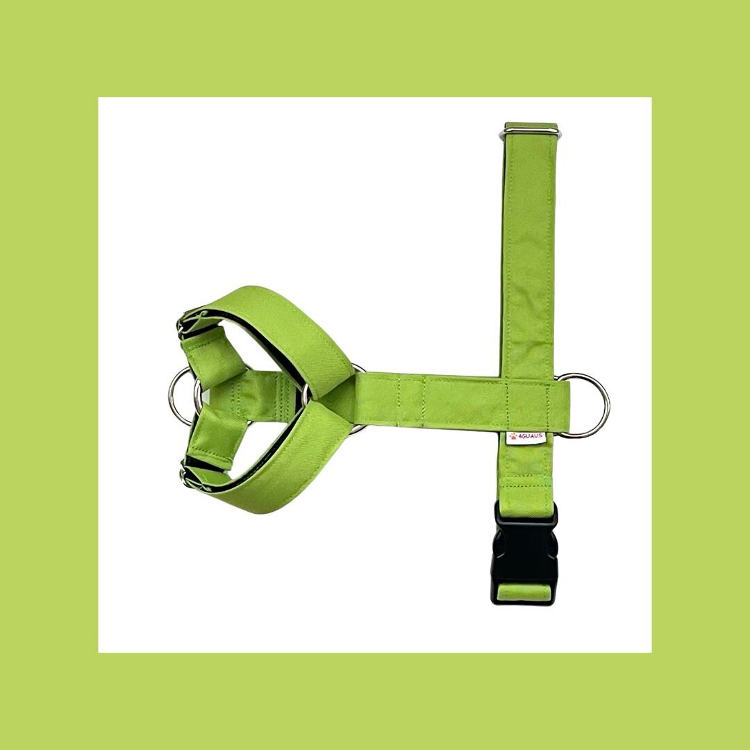 Dog Harness Lime Green for All Breeds. Gift for Pet Lovers. Adjustable ...
