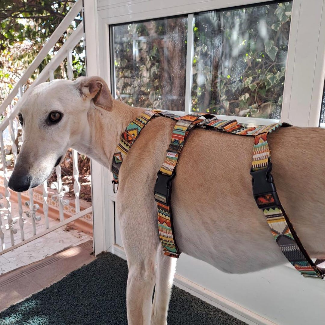 Triple Dog Harness Terracotta Inca for Greyhound. Handmade With Cotton ...