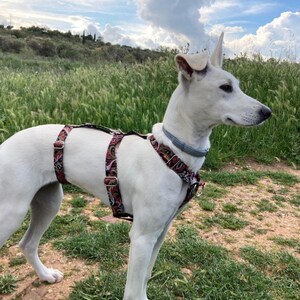 Triple Dog Harness Red Pasley for Greyhound. Handmade With Cotton ...