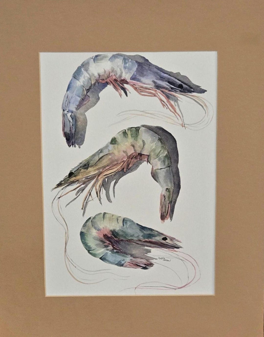 Vintage 11x14 Giclee Print of Watercolor Painting of Coastal Shrimp by ...
