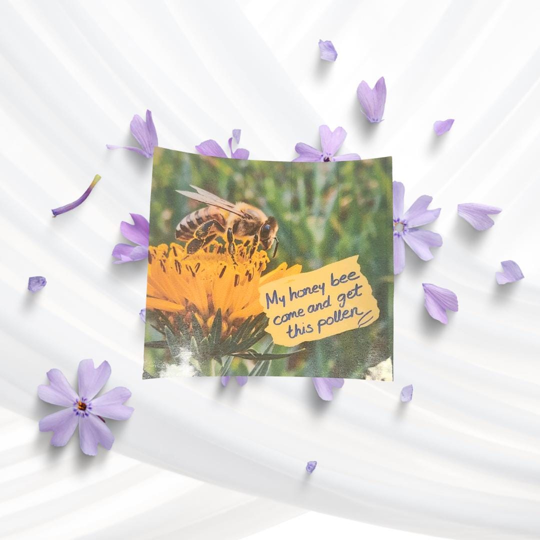 Sabrina Carpenter Quote Sticker My Honeybee, Come and Get This Pollen ...