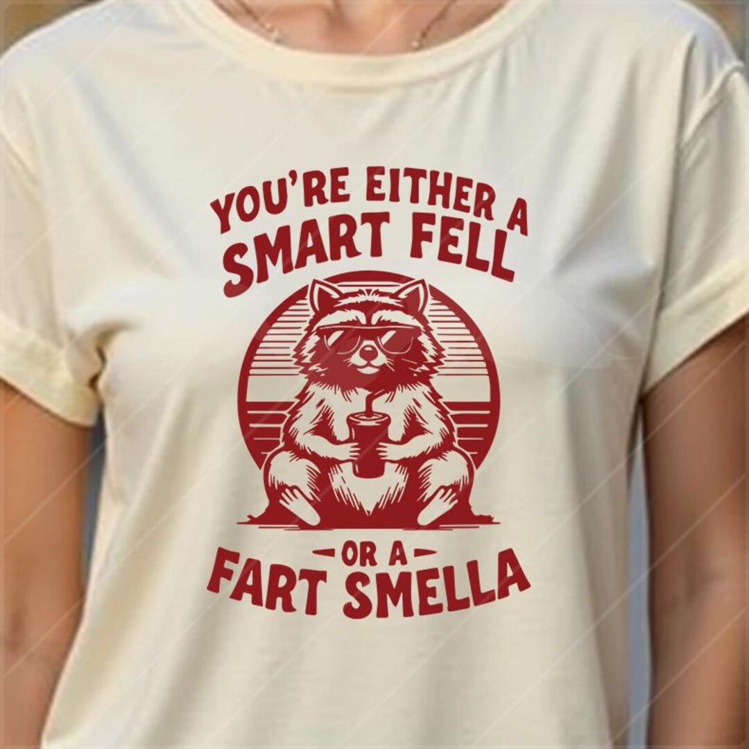 Funny Raccoon PNG SVG, Sarcastic Cartoon, Funny Raccoon Shirt, You Are ...