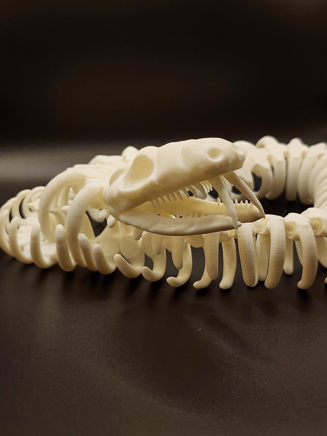 3D Printed Articulated Snake Skeleton - Etsy