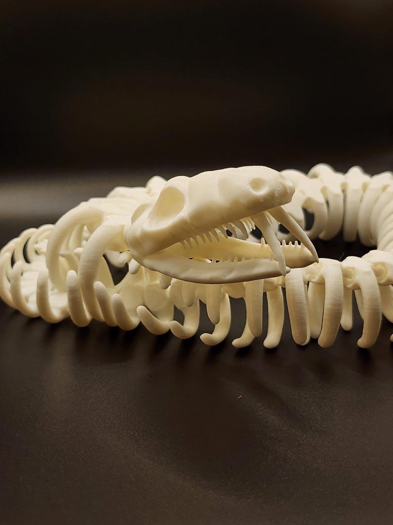 3D Printed Articulated Snake Skeleton - Etsy