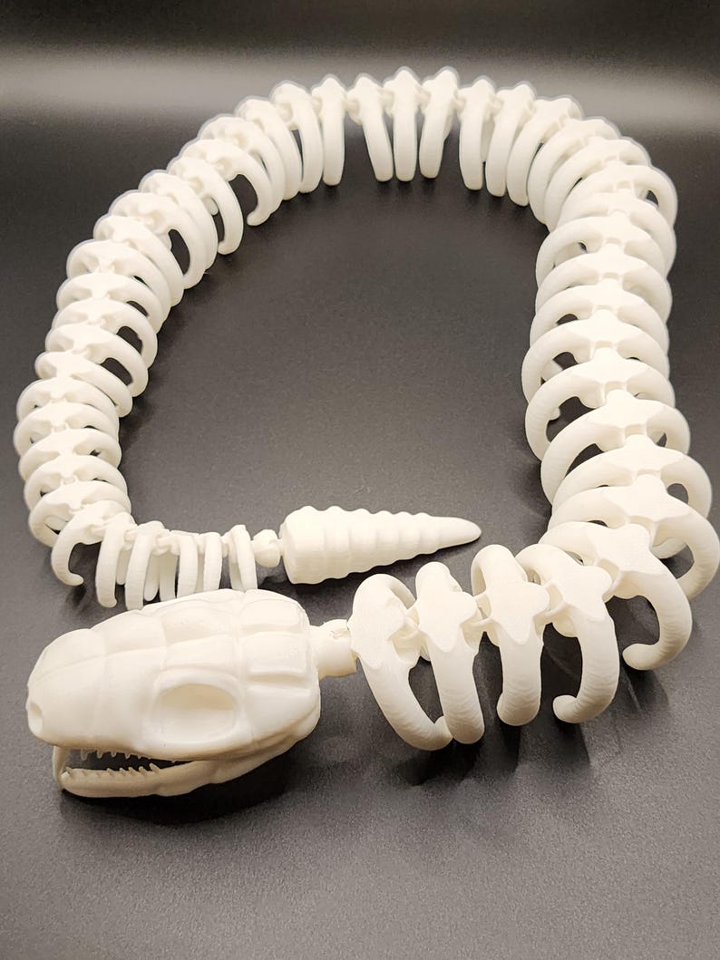 3D Printed Articulated Snake Skeleton - Etsy