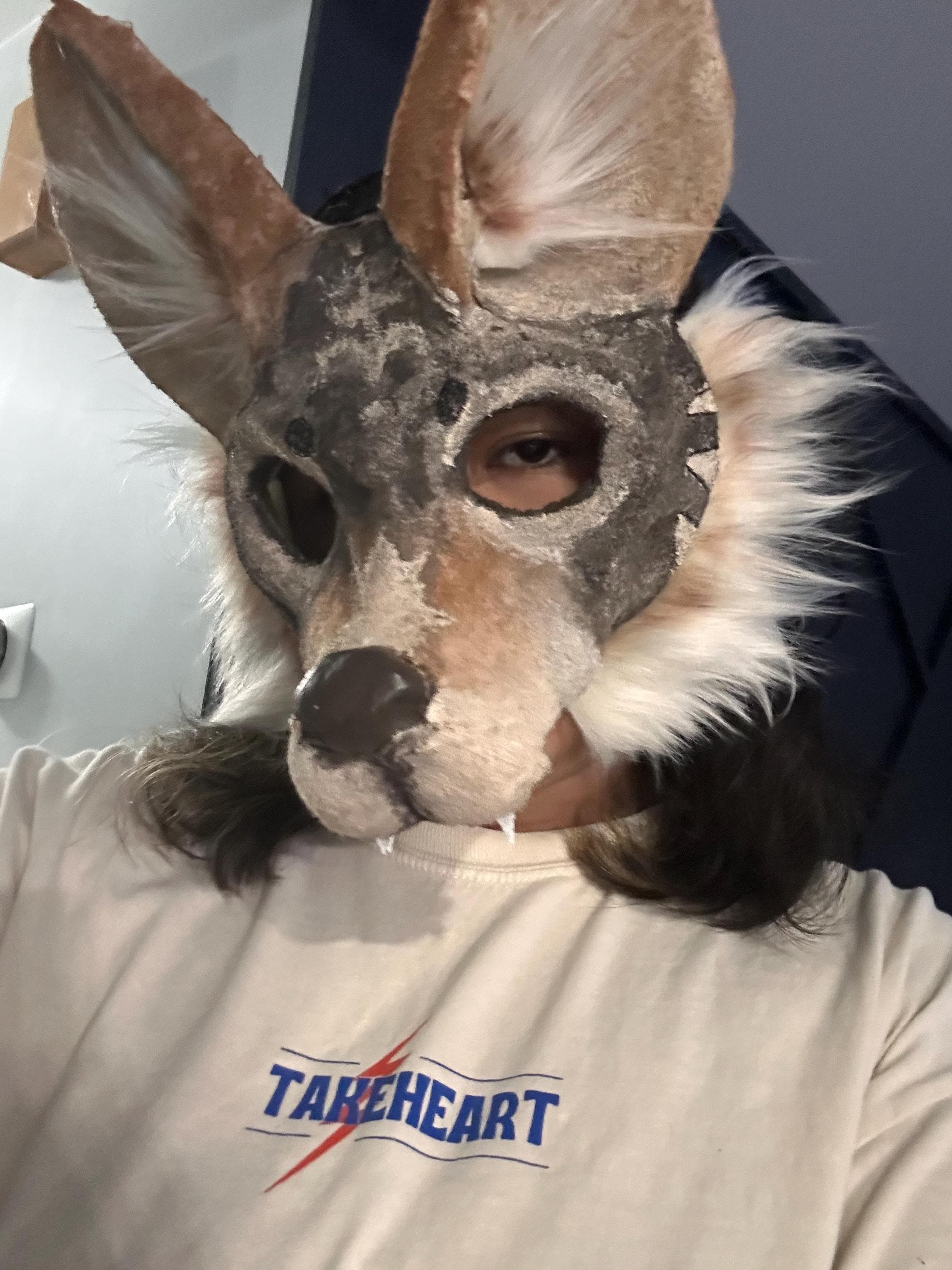 COMMISSION THERIAN MASKS!!!! (commissions Open!!!!) ( Photos Are ...