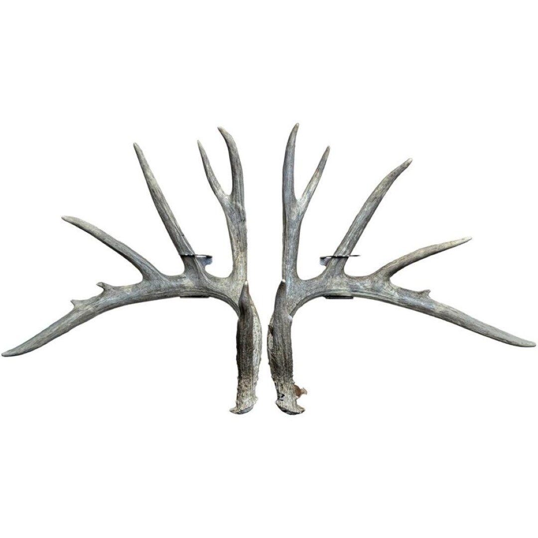 Shed Antler Hanger Set - Slob Knocker Size - Etsy