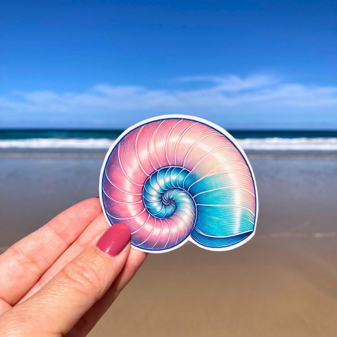 Pastel Nautilus Shell Sticker Ocean-inspired Spiral Design, Cute ...