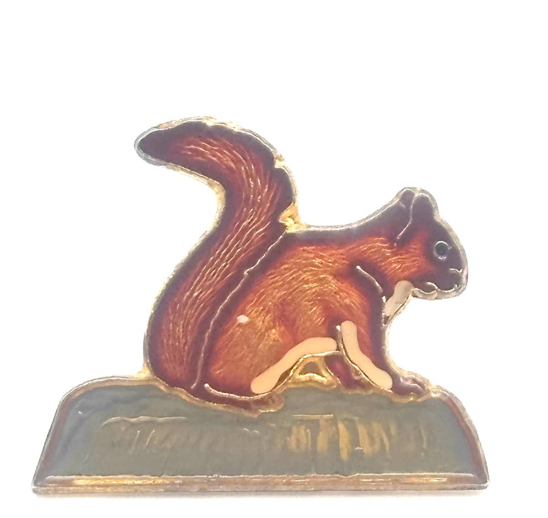 Vintage 70s Red-tailed Squirrel Pin Sitting on a Rock Enamel Brown Red ...