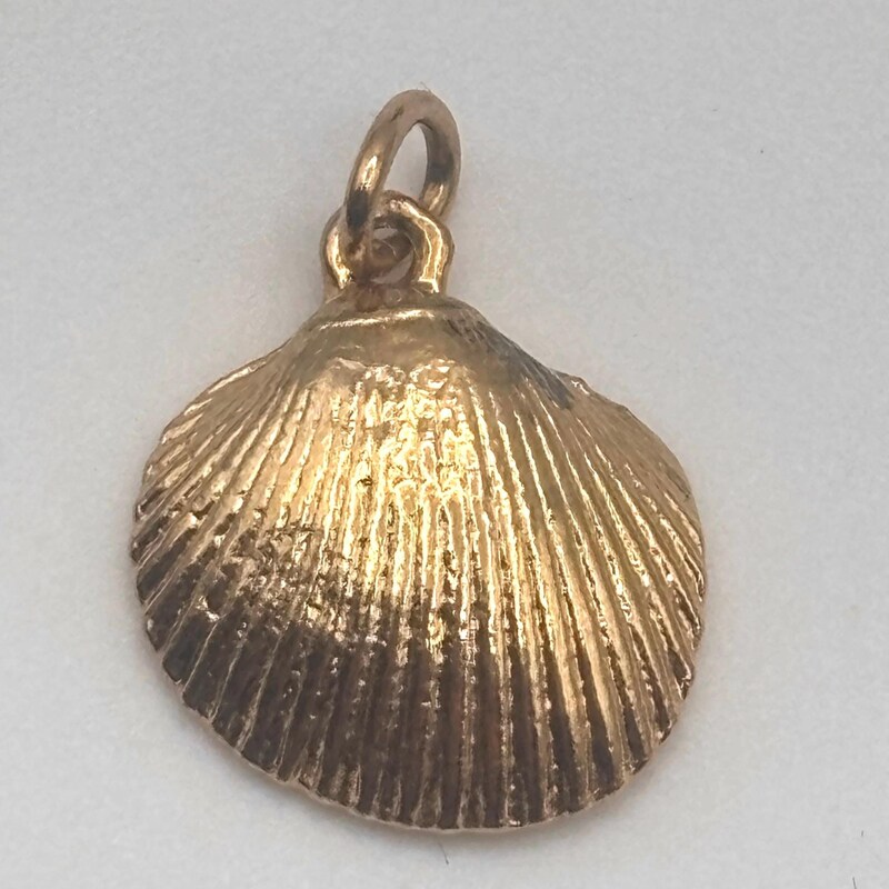 Clam Shell Charms - Etsy