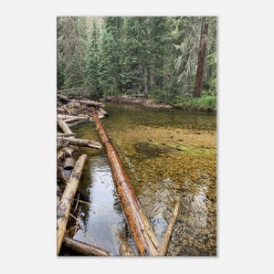 River Log Canvas, Rocky Mountains Photography, RMNP Print, Landscape ...