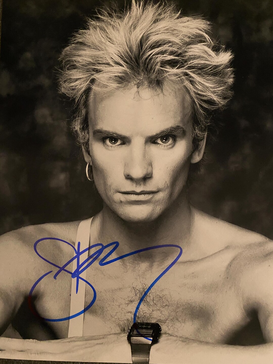The Police Sting Original Autographed Photo - Framed - Etsy