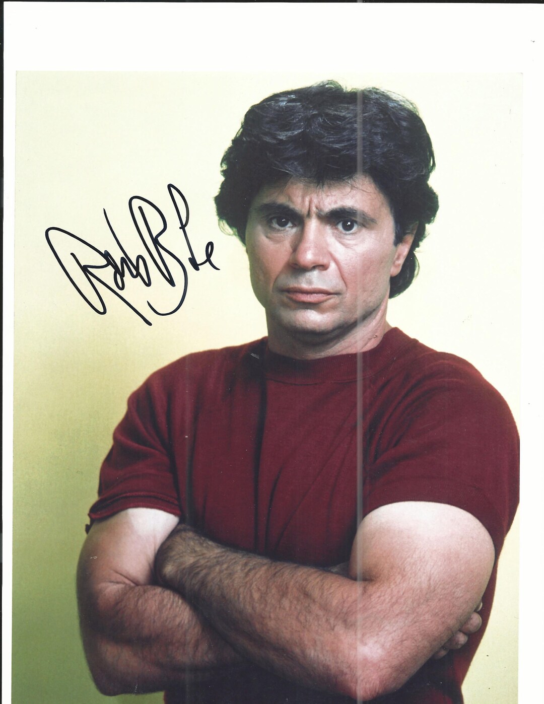 Robert Blake Original Autographed Photo - Framed - Etsy