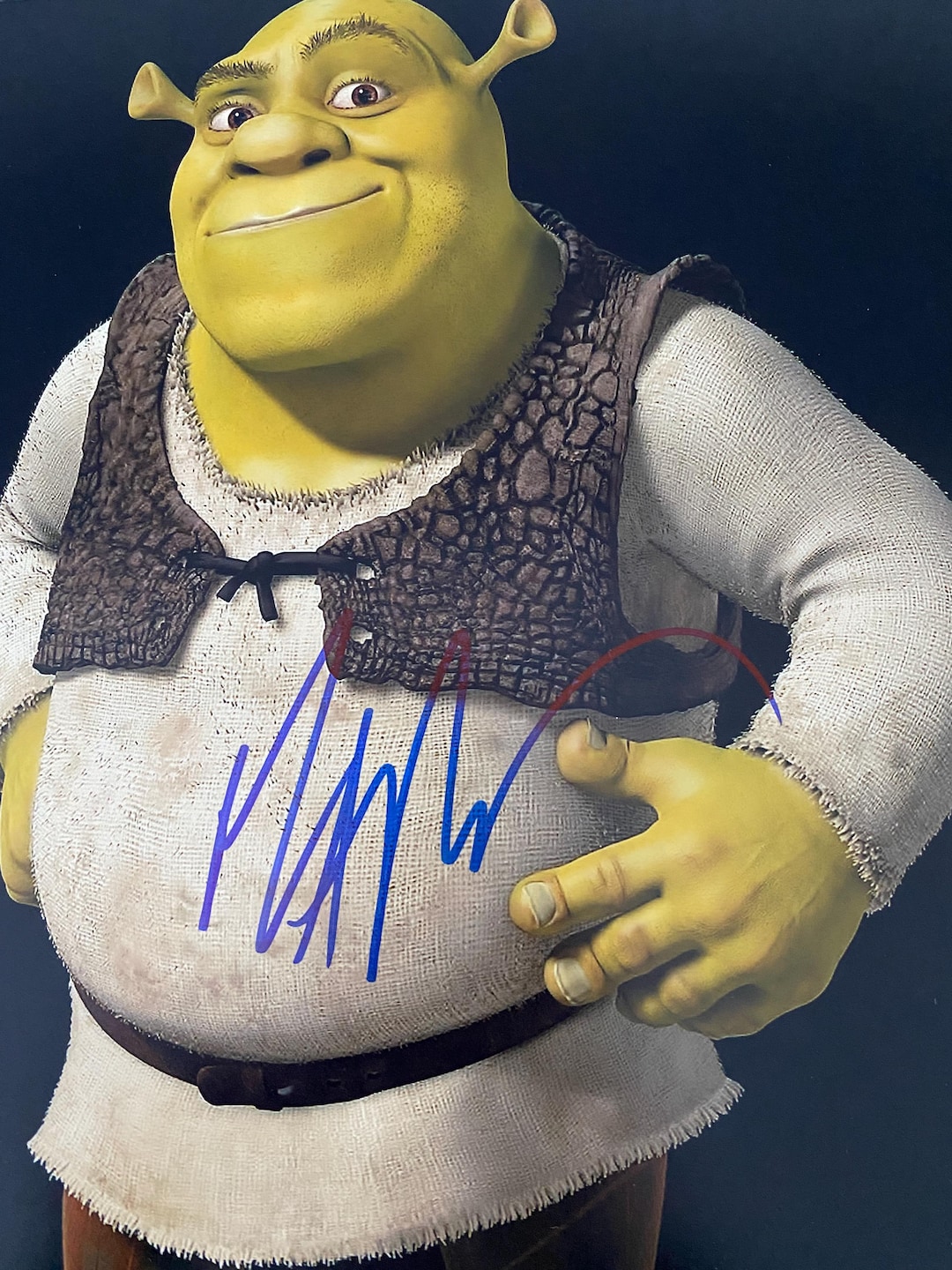 Shrek Mike Myers Original Autographed Photo - Framed - Etsy