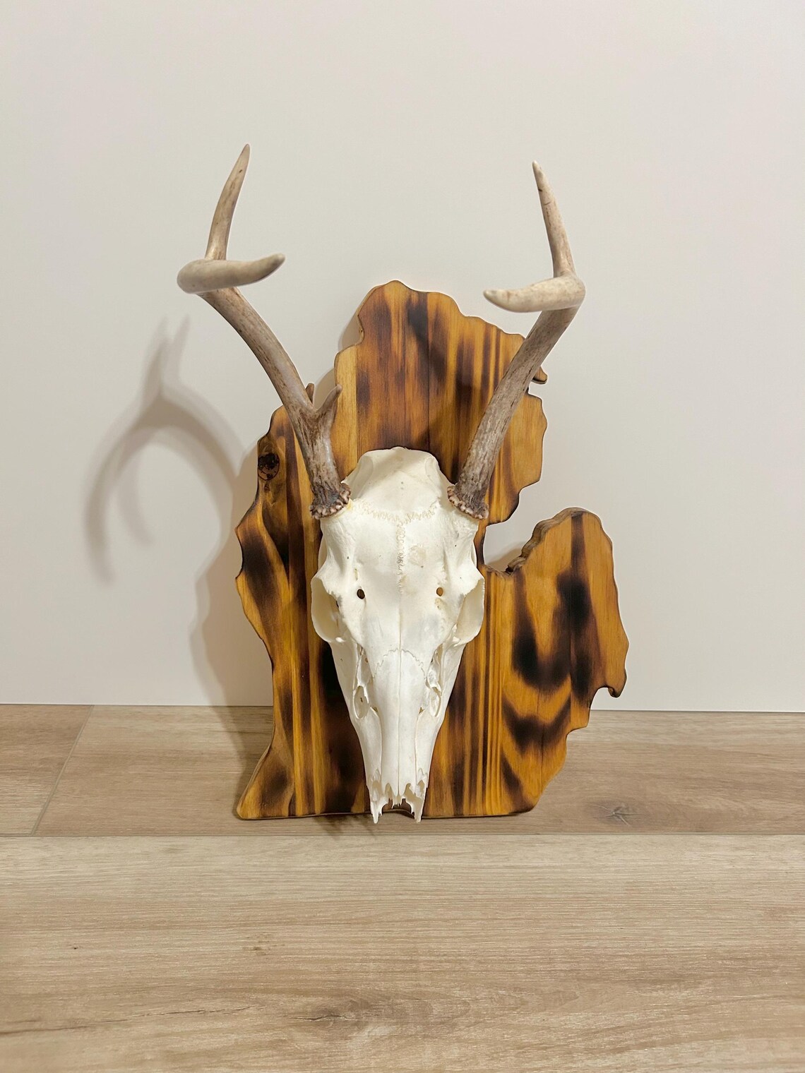 European Deer Skull Mount Plaque, Euro Mount Michigan Hand Crafted - Etsy