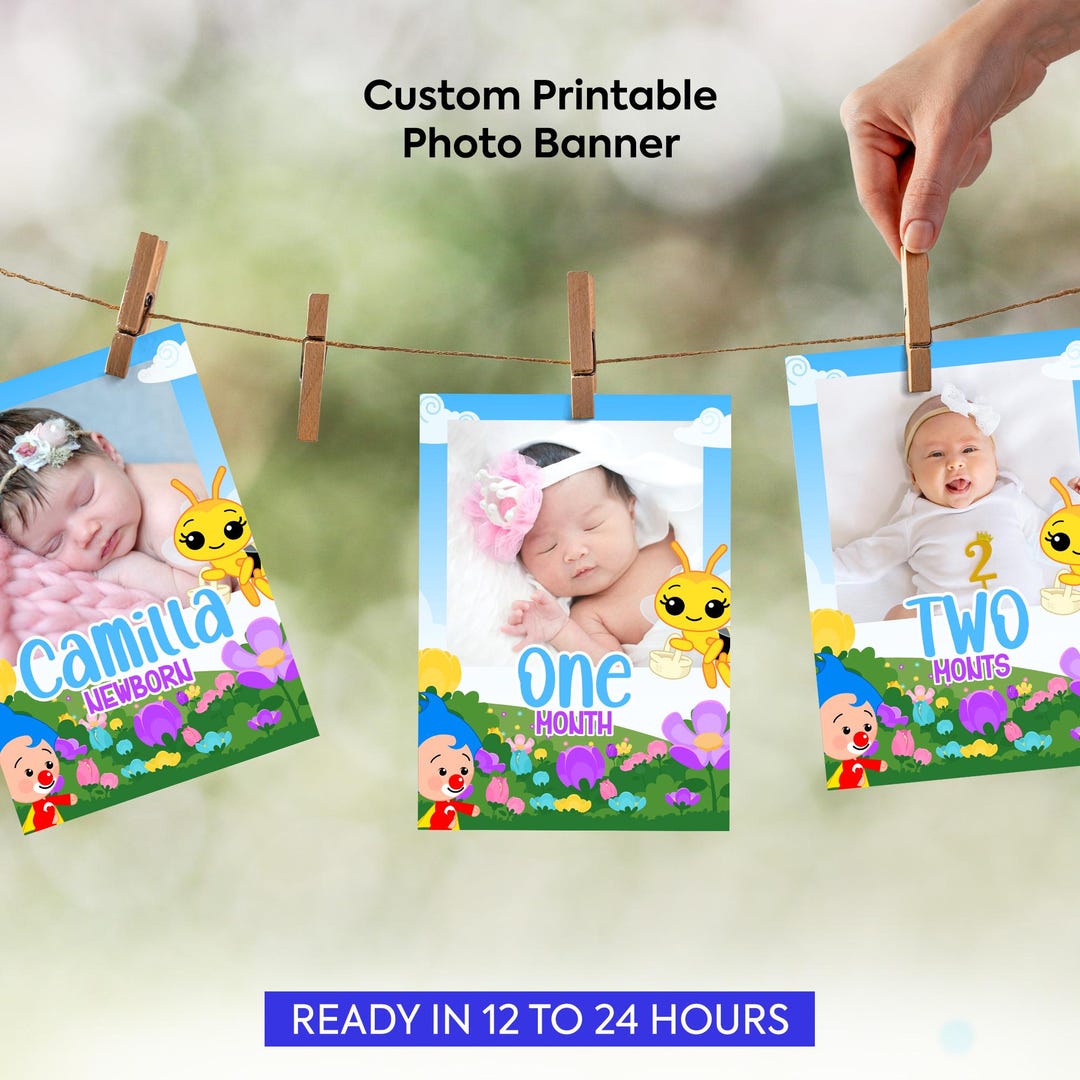 Plim Plim Bee 12 Month Photo Banner, Printable, Personalized, Plim Plim ...