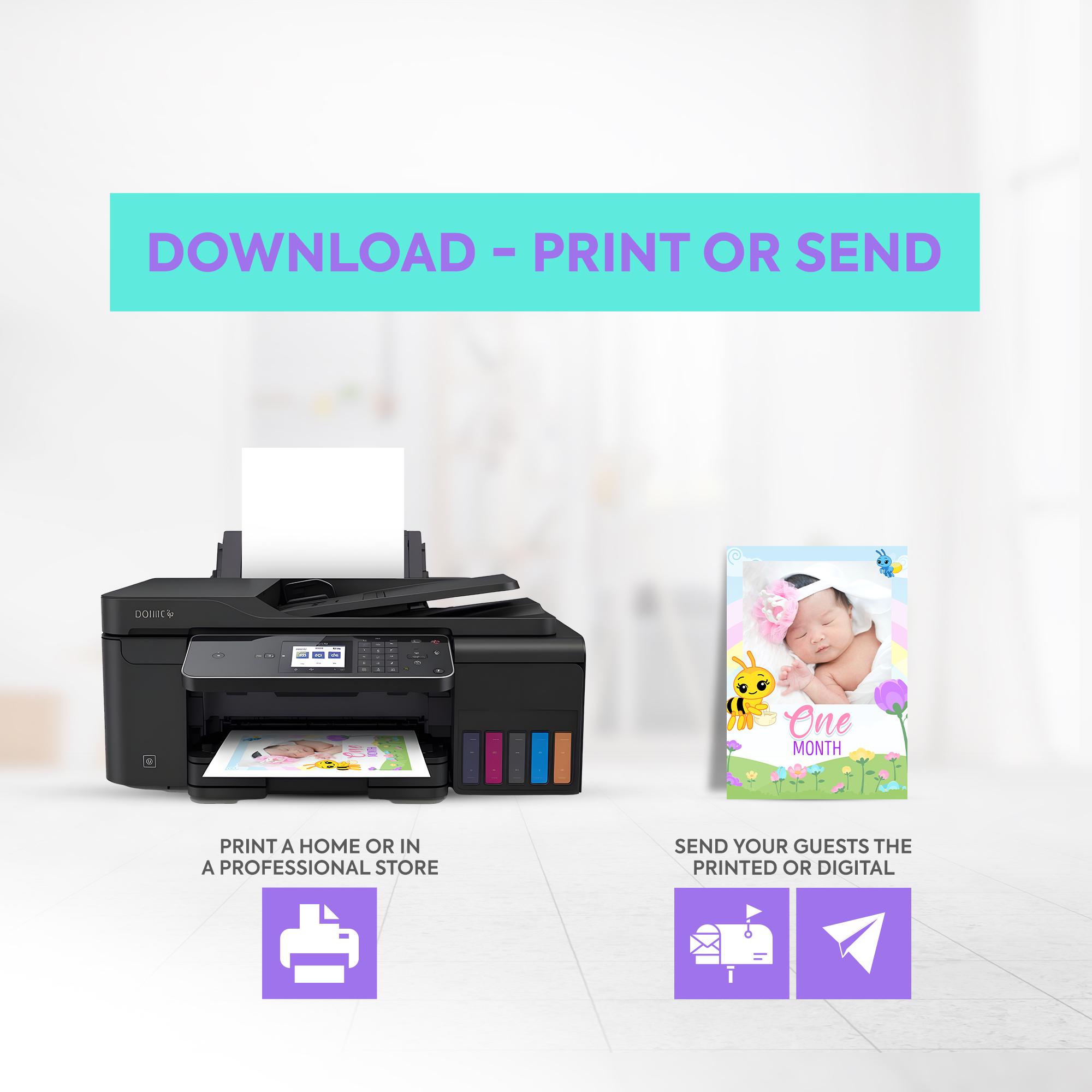 Plim Plim Bee 12 Month Photo Banner, Printable, Personalized, Plim Plim ...