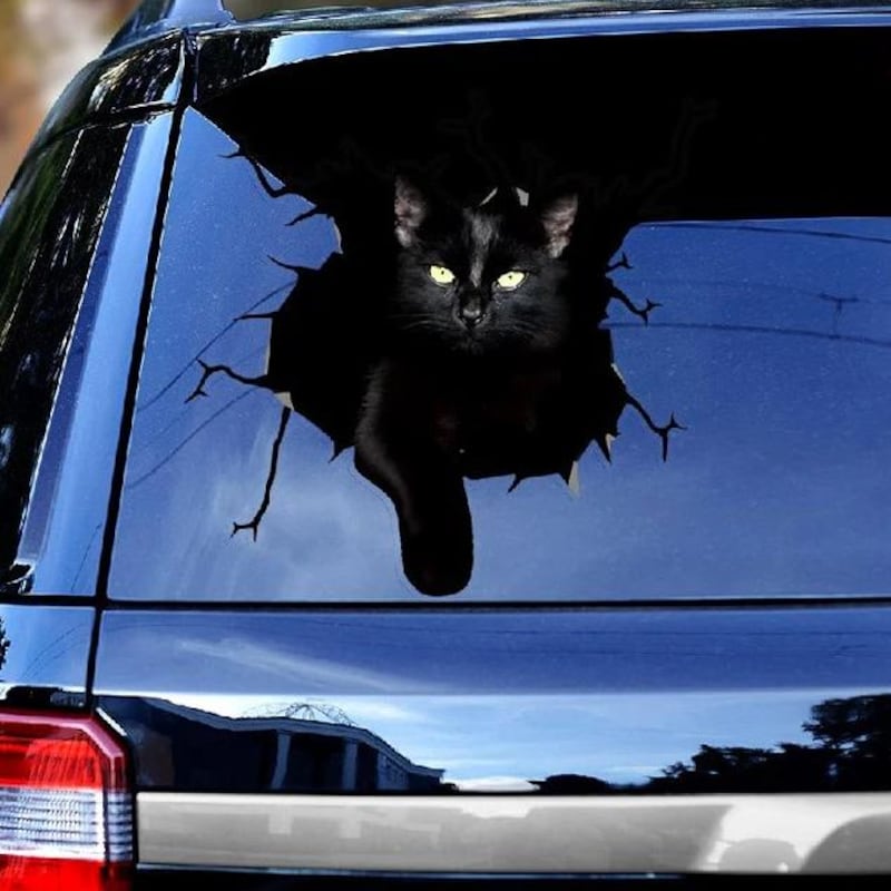 Cat Bumper Sticker - Etsy