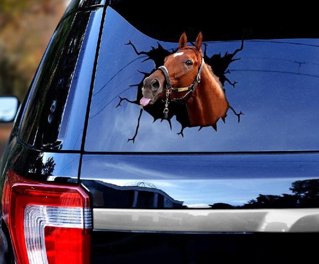 Funny Horse Vinyl Decal for Car, Wild Horse Bumper Sticker, Horse ...