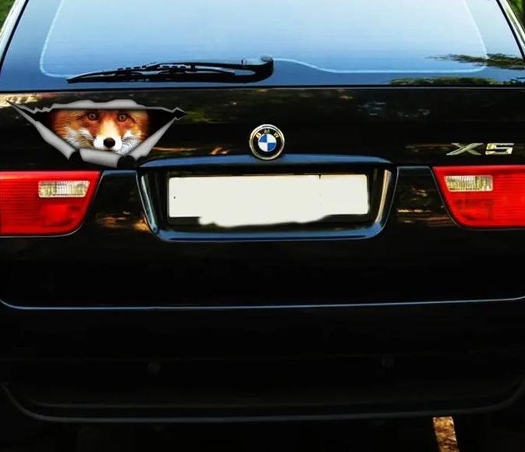Fox Car Decal , Animals Decal, 3D Sticker, Funny Decal , Car Stickers ...