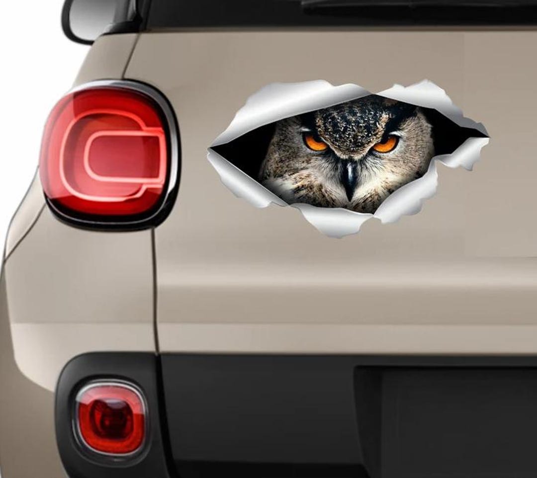 Owl Car Sticker Horned Owl Car Angry Owl Sticker Birds Decal Owl ...