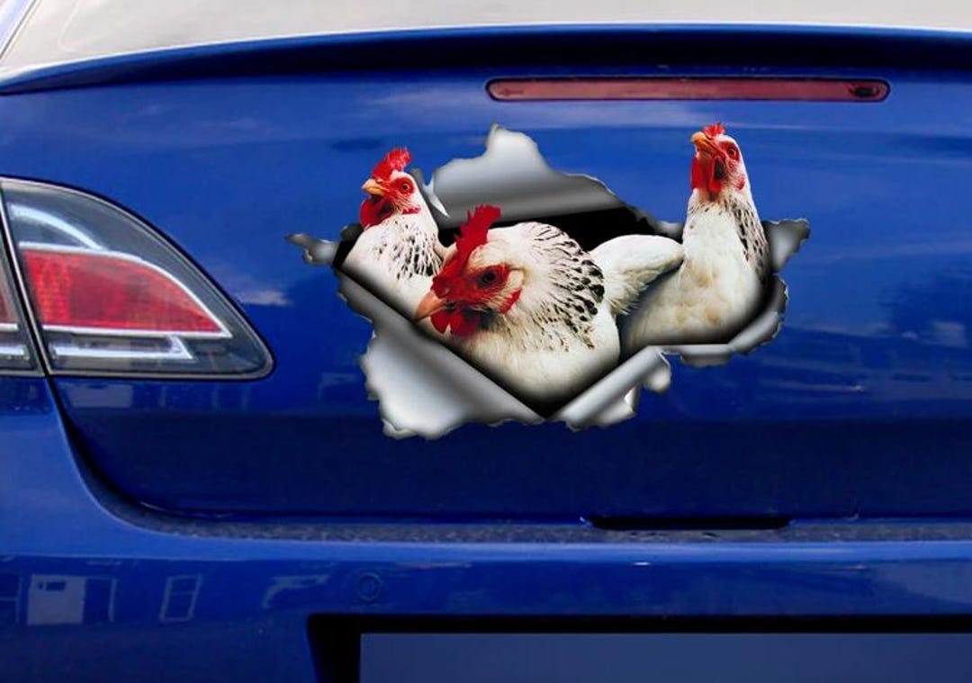 White Hens Vinyl Decal for Car, Animal Sticker, White Chicken Vinyl ...