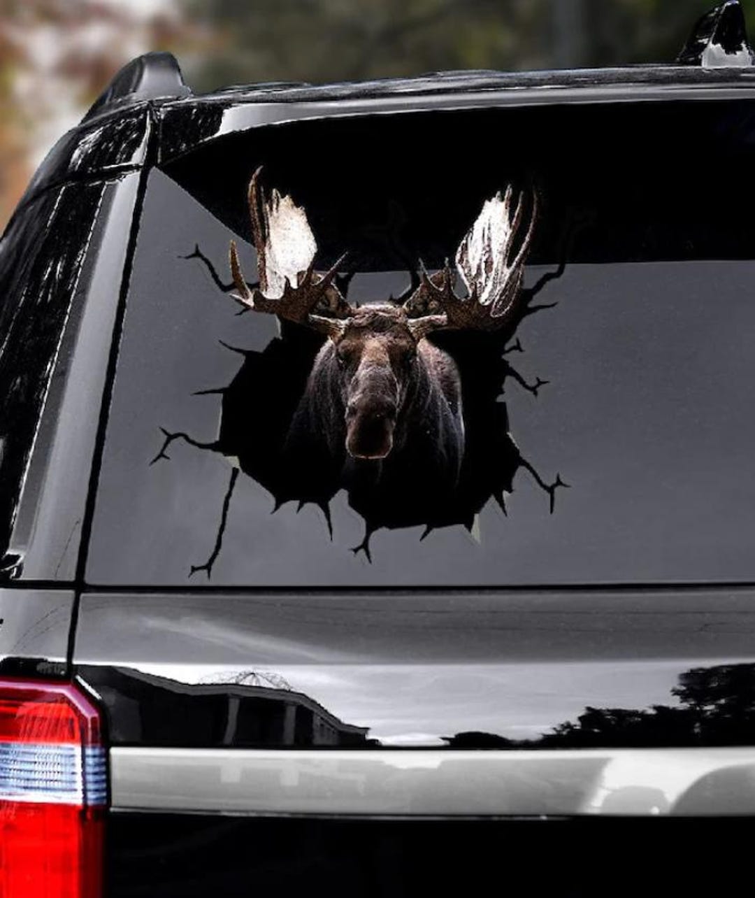 Moose Vinyl Decal for Car, Moose Antlers Bumper Sticker, Moose Peeking ...