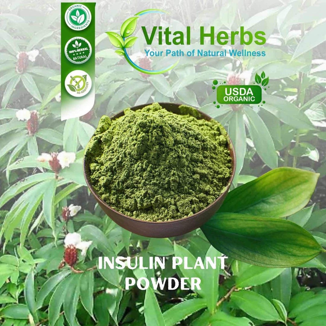Dried Plant Insulin Leaves Powder Fiery Costus Igneus - Etsy