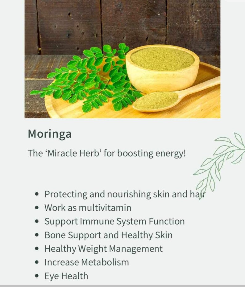 Natural Dried Moringa Leaves Powder Oleifera Moringa Powder Herbal Tea ...