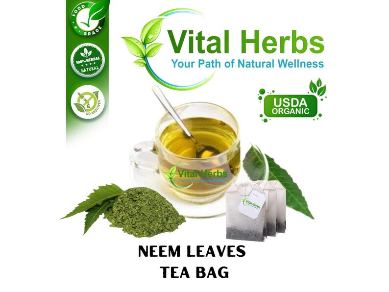NEEM LEAVES Tea Dried LEAVES 100% 0rganic Food Grade Herbal Tea - Etsy