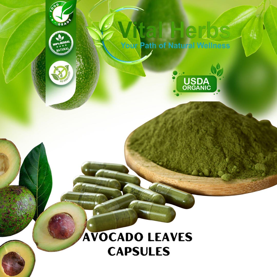 AVOCADO LEAVES Capsule 600mg 100% Pure Organic Persea Americana - Etsy