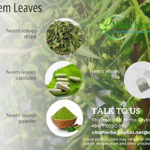 NEEM LEAVES Tea Dried LEAVES 100% 0rganic Food Grade Herbal Tea - Etsy