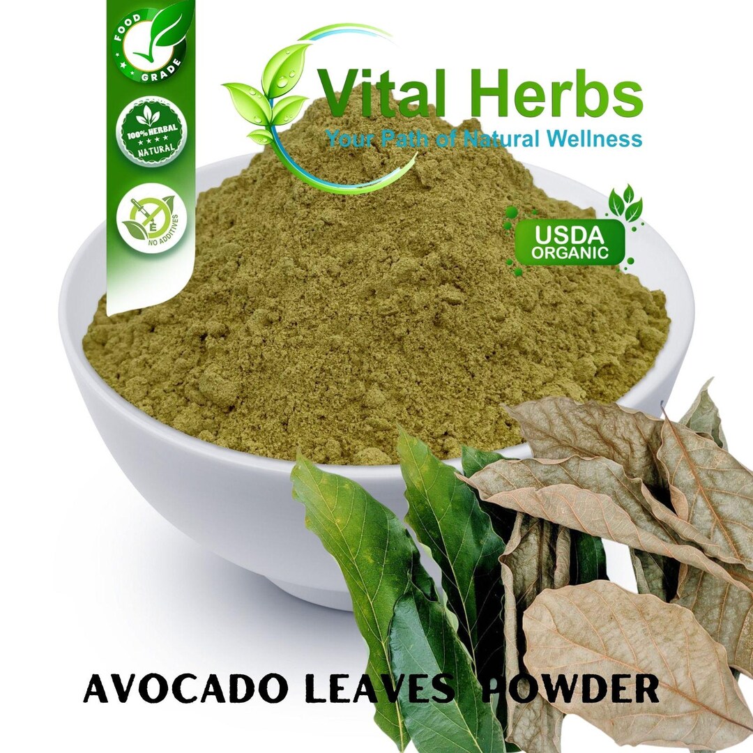 AVOCADO Dried LEAVES POWDER 100% Pure Organic Persea Americana - Etsy