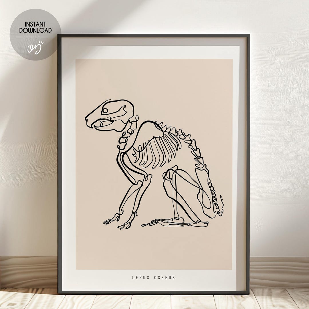 One Line Rabbit Anatomy Printable Biology Poster. Animal Skeleton ...