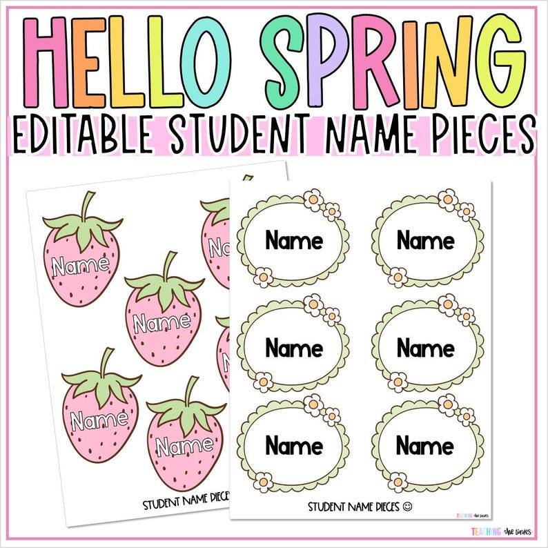 Silly Goose Bulletin Board Kit | Cutesy Classroom Spring Decor ...