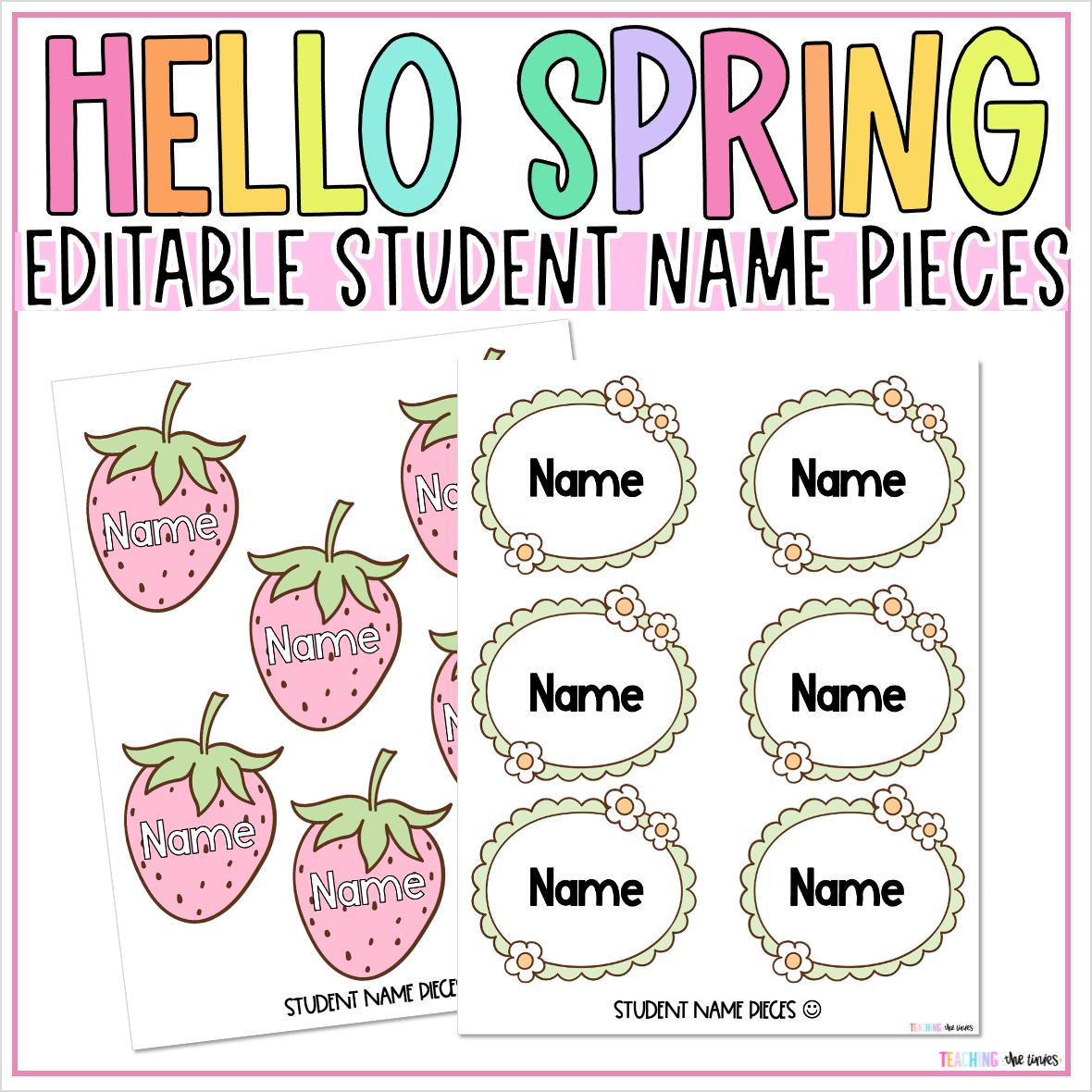 Silly Goose Bulletin Board Kit | Cutesy Classroom Spring Decor ...