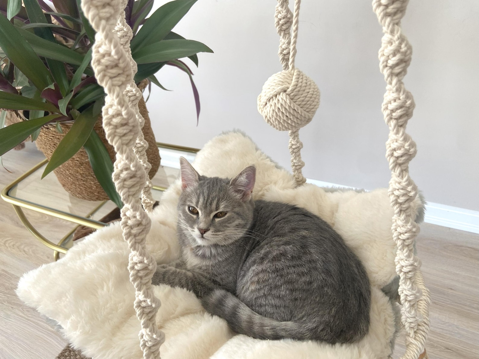 Hanging Cat Bed, Macrame Cat Hammock, Cat Swing - Etsy