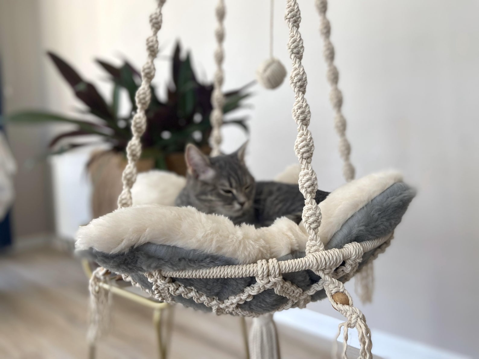 Hanging Cat Bed, Macrame Cat Hammock, Cat Swing - Etsy