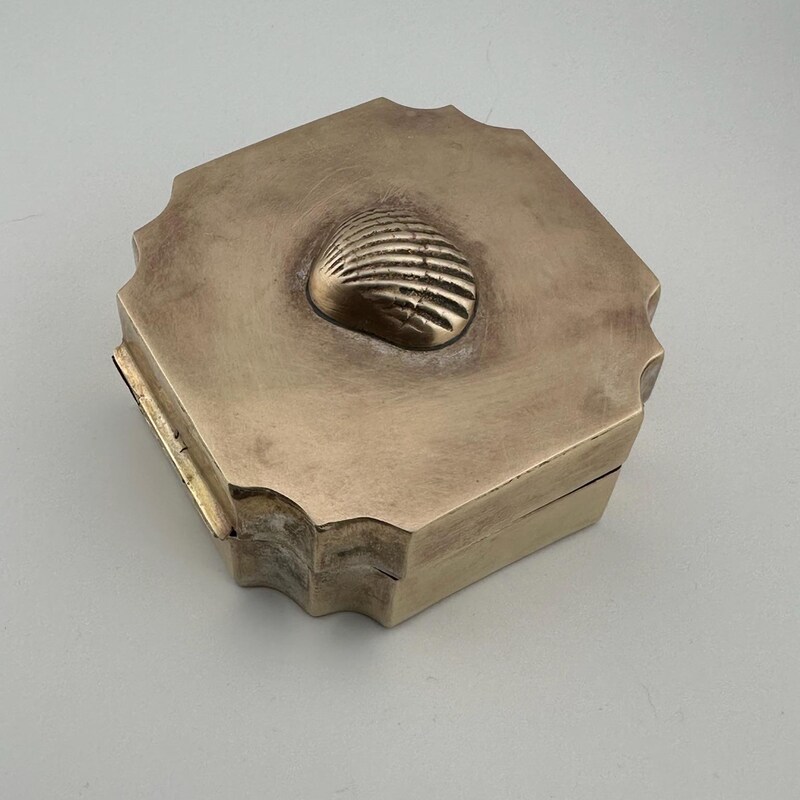 Shell Box - Etsy